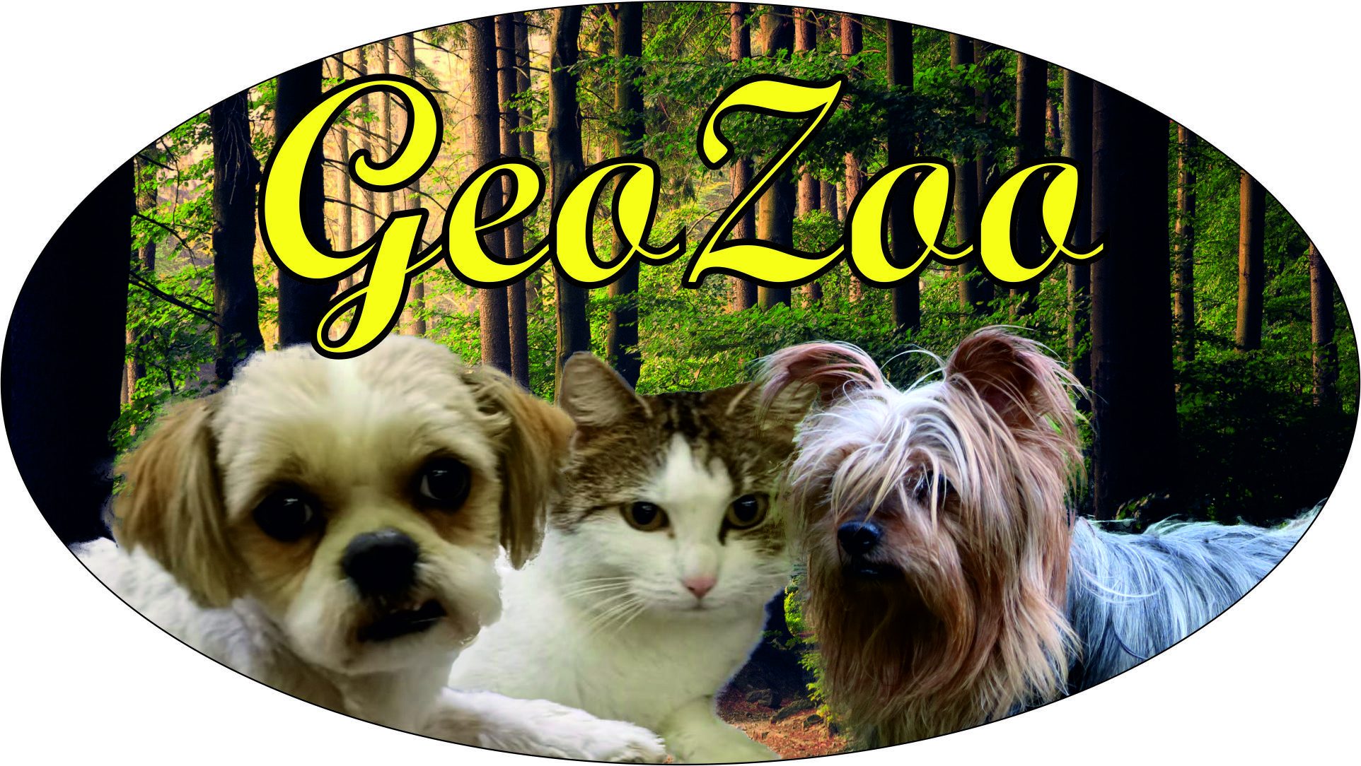 Koliberek hawański - rozmnażanie, wygląd zewnętrzny - GeoZoo